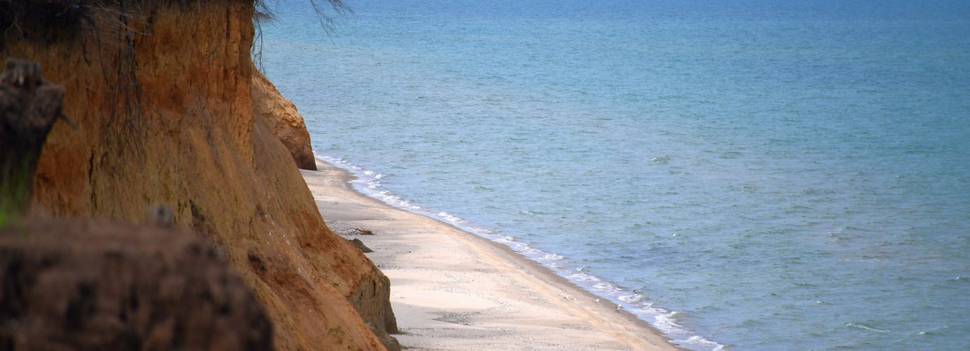 «Зеленый лист» - общественная организация в Одессе